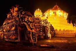 Public not allowed viewing Perahera this year - Sri Lanka
