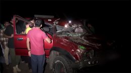 Jackson Anthony and two others hospitalised after vehicle hits elephant ...