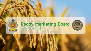 Two Officers of Paddy Marketing Board interdicted over missing 700,000 ...