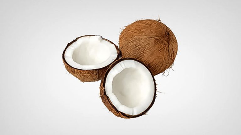 Sri Lanka eyes 555 million coconut yield - Sri Lanka